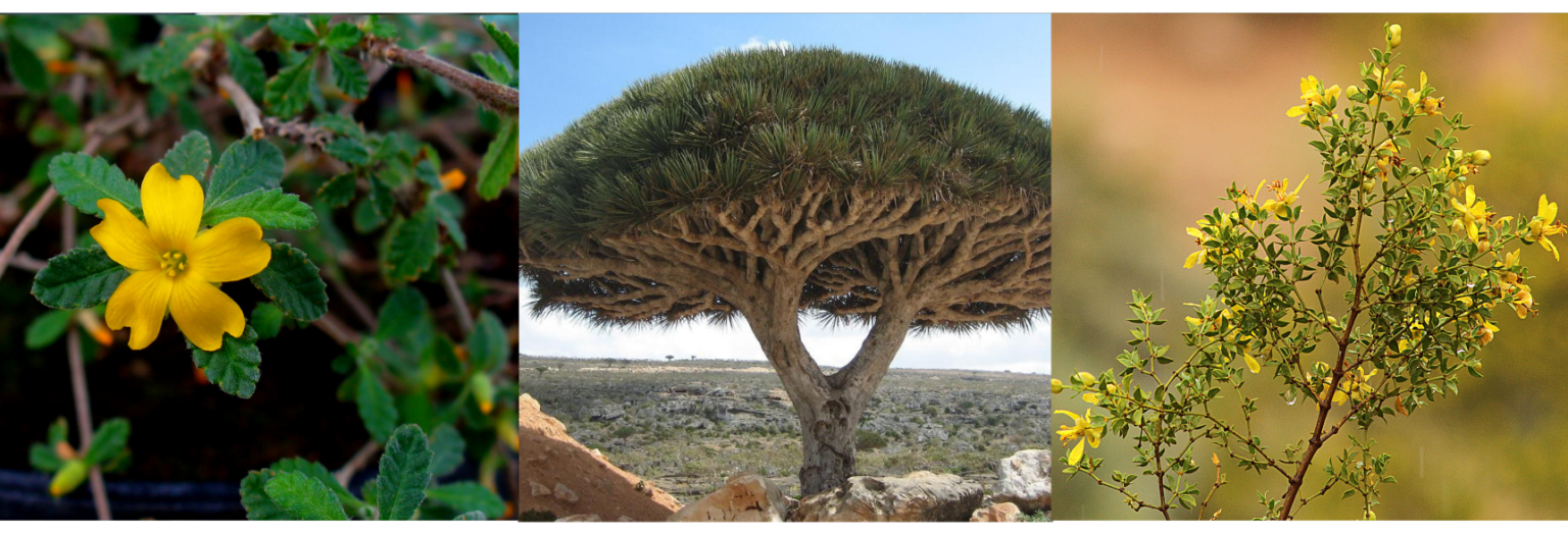 Biodiversity in Mexico | Biodiversity Facts