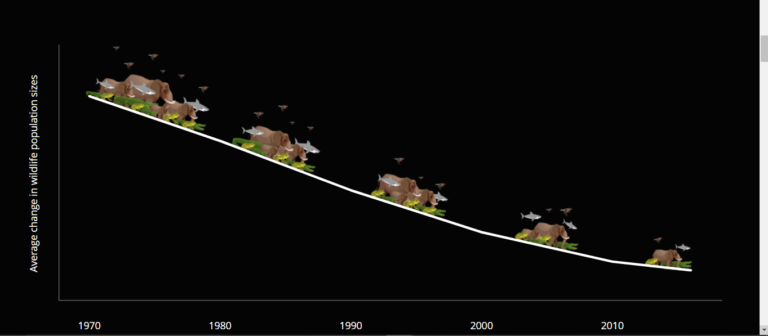 Biodiversity Fact Sheet | Biodiversity Facts - Biodiversity Charts and ...
